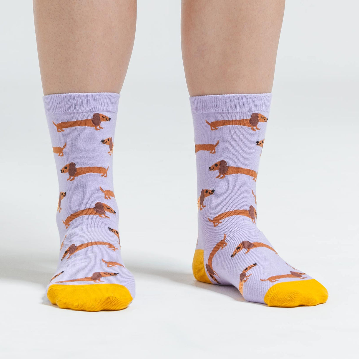 Hot Dogs | Women's Crew Socks | Women's Weiner Dog Socks – Sock It to Me